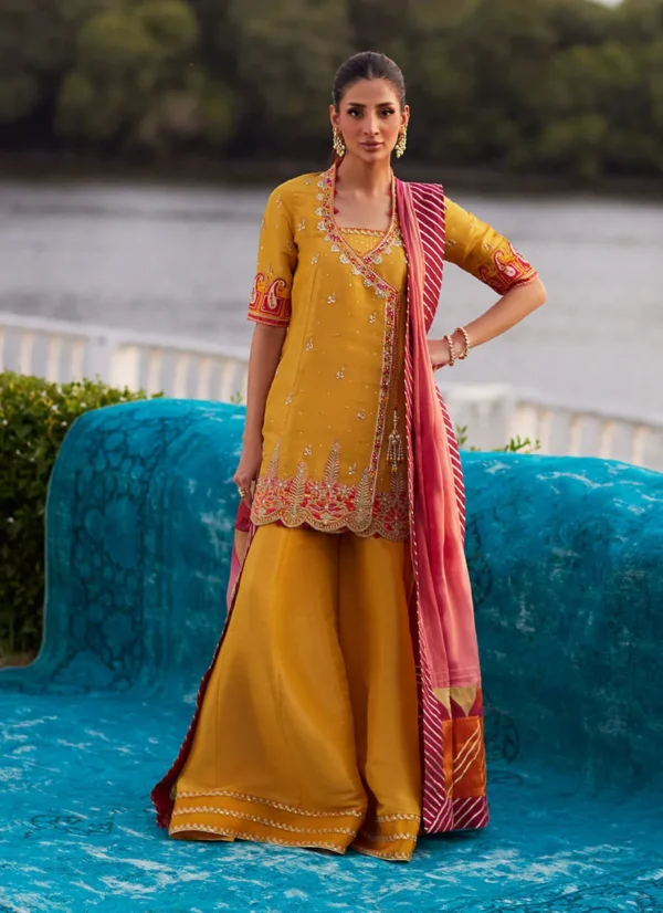 Farah Talib Aziz Mayna Festive Luxe Pret - Henna